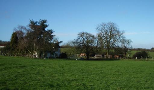 Gallery - Dents Farm